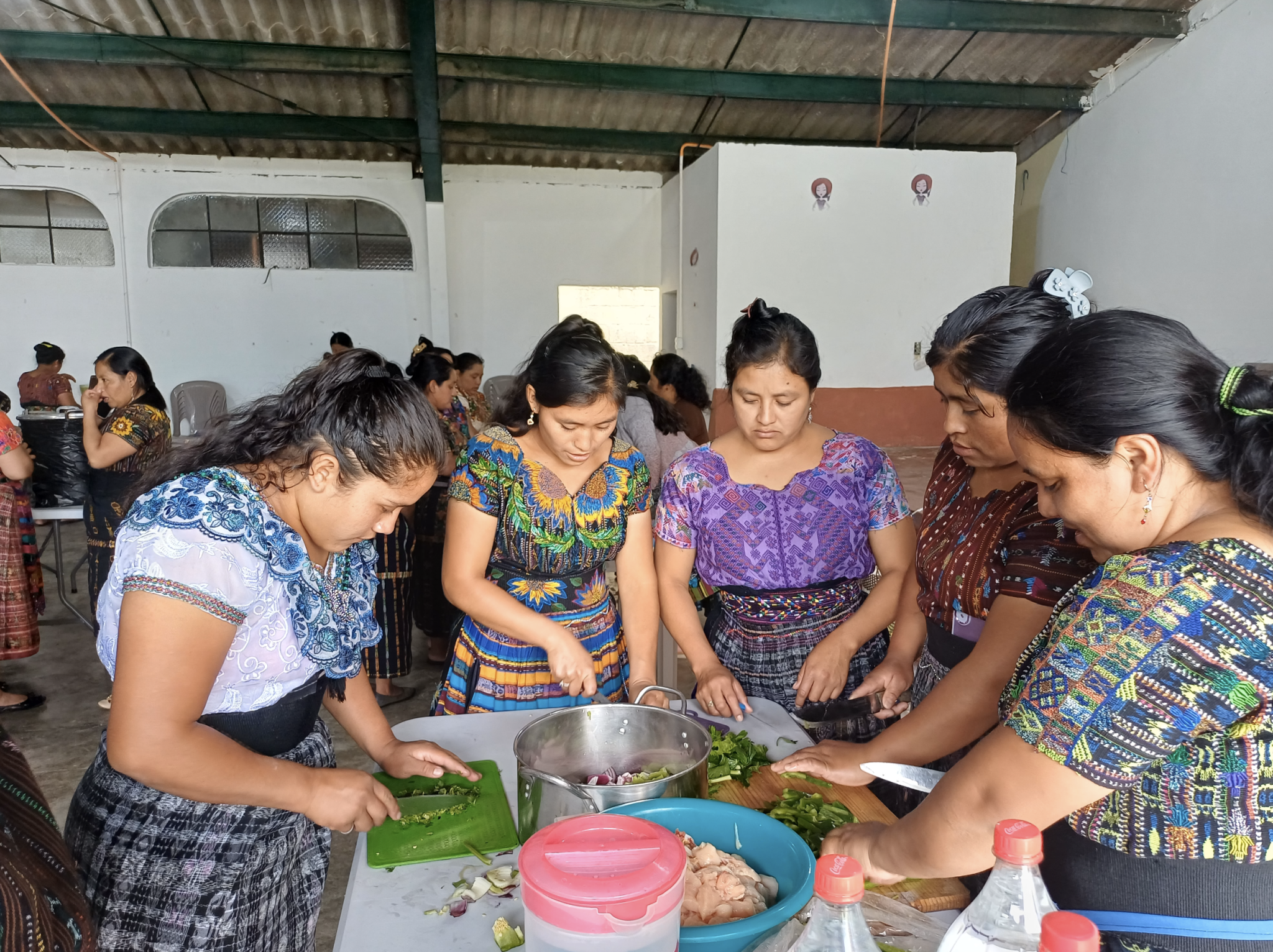 Madres guías y comunitarias reciben taller sobre buenas prácticas en la ...